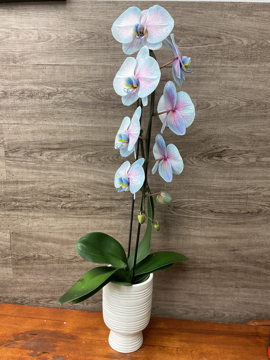 All products – Page 2 – Forever Blooming